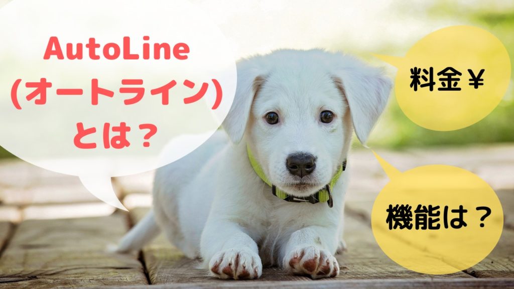 Ligla（リグラ）とは何か？【公式LINEツールの料金や機能をわかりやすく解説】 | 公式LINEX集客ツール