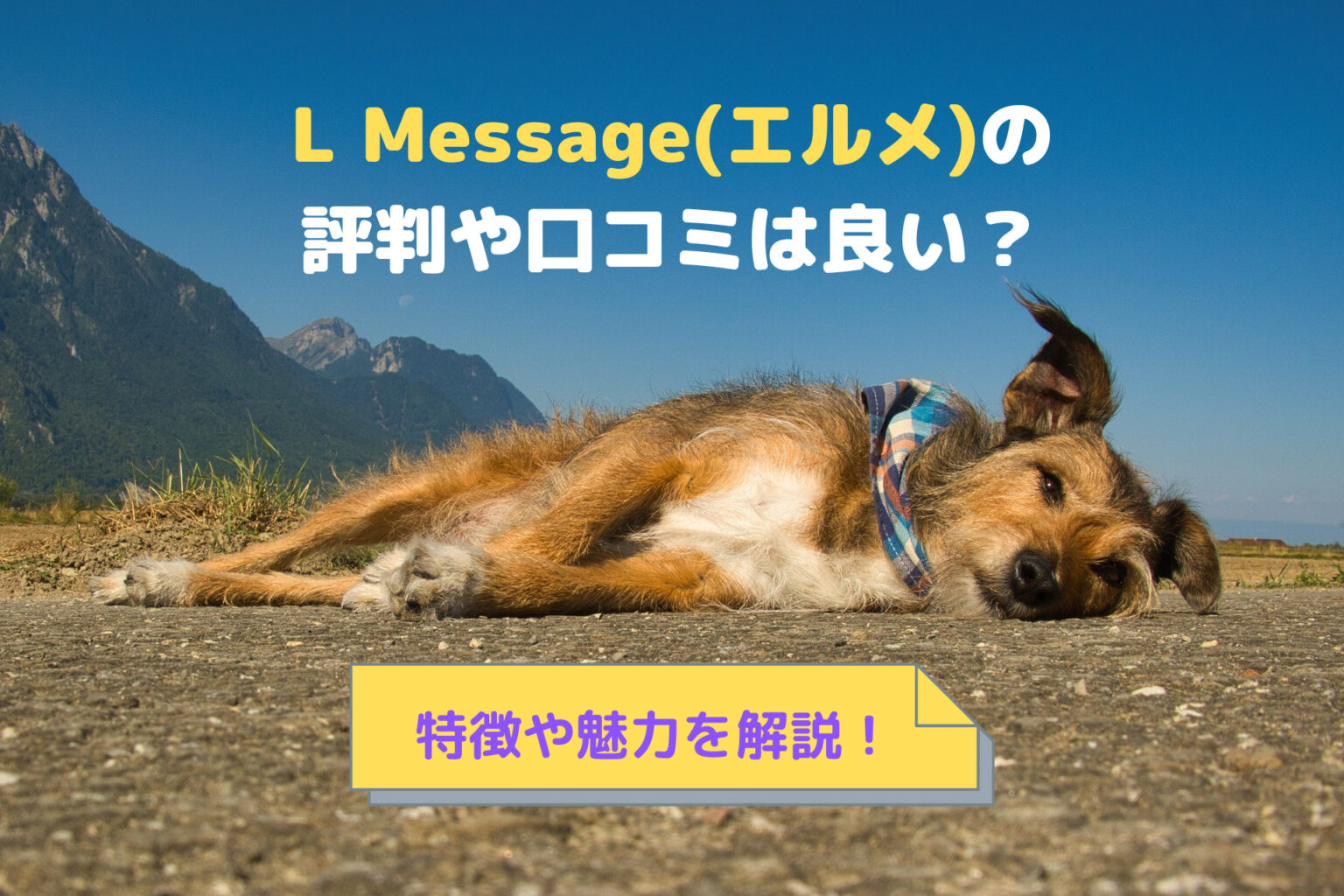 L Message(エルメ)の評判や口コミは良い？特徴や魅力は何？【Lステップやプロラインとも比較】 | 公式LINEX集客ツール