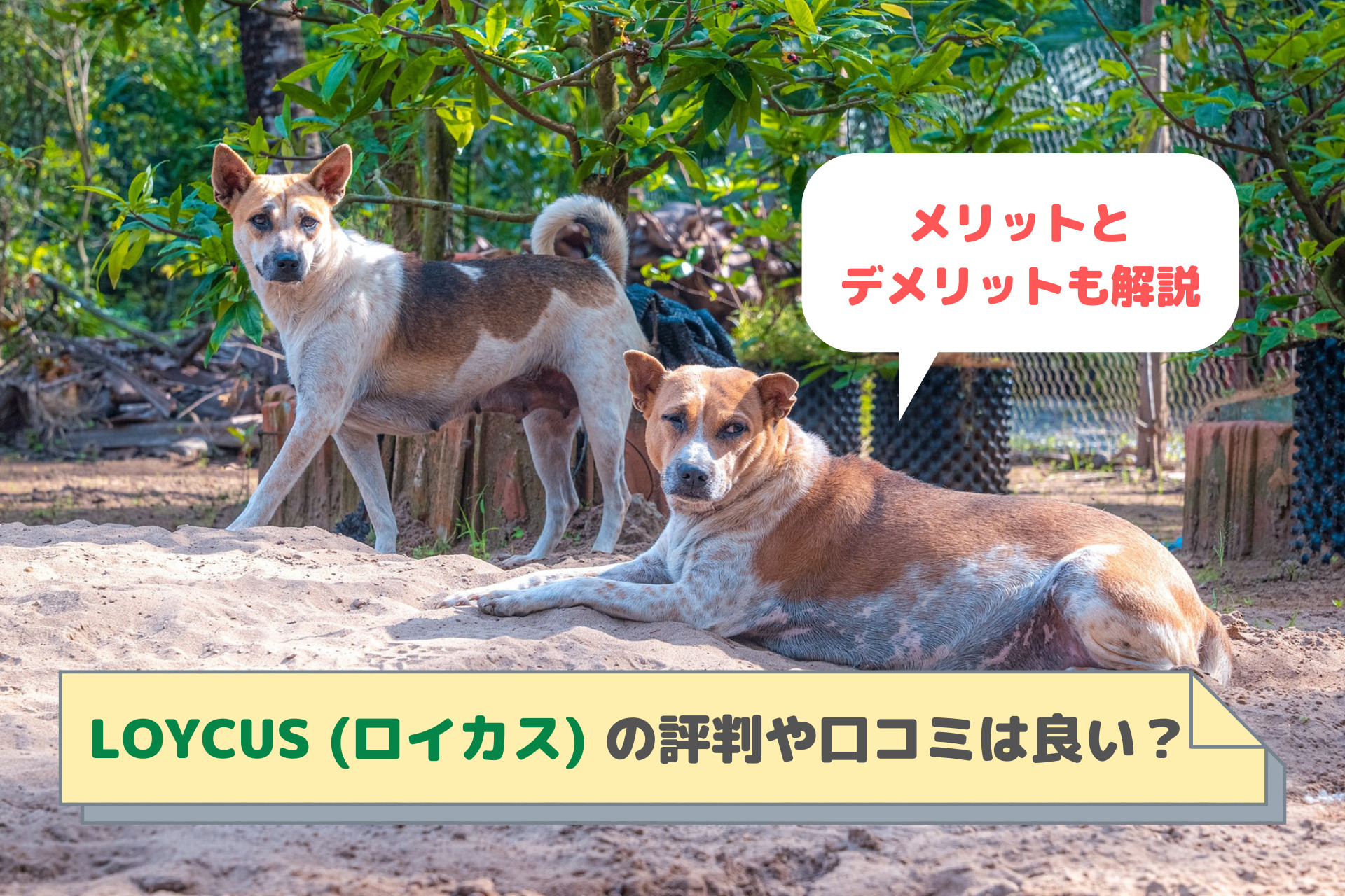 LOYCUS (ロイカス) の評判や口コミは良い？【メリットやデメリットも簡単に解説】 | 公式LINEX集客ツール